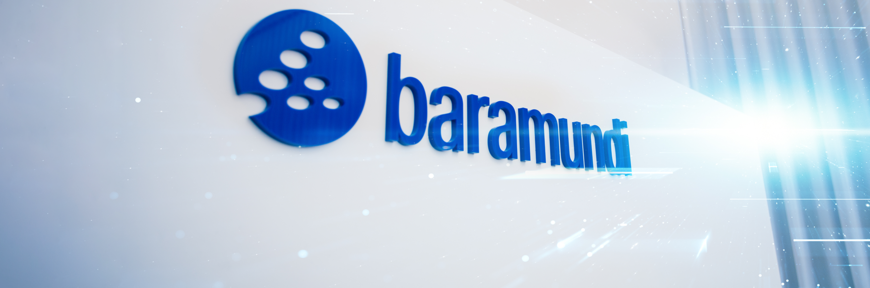 Contact ｜ baramundi